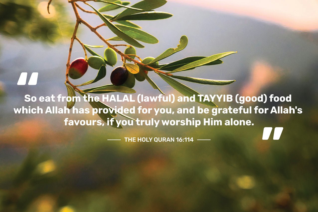 The True Meaning of "Tayyib": Beyond Halal to Holistic Wellness ...