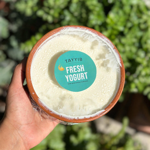 TAYYIB | Specialty Grocer & Fine Food Gifting – Tayyib Store