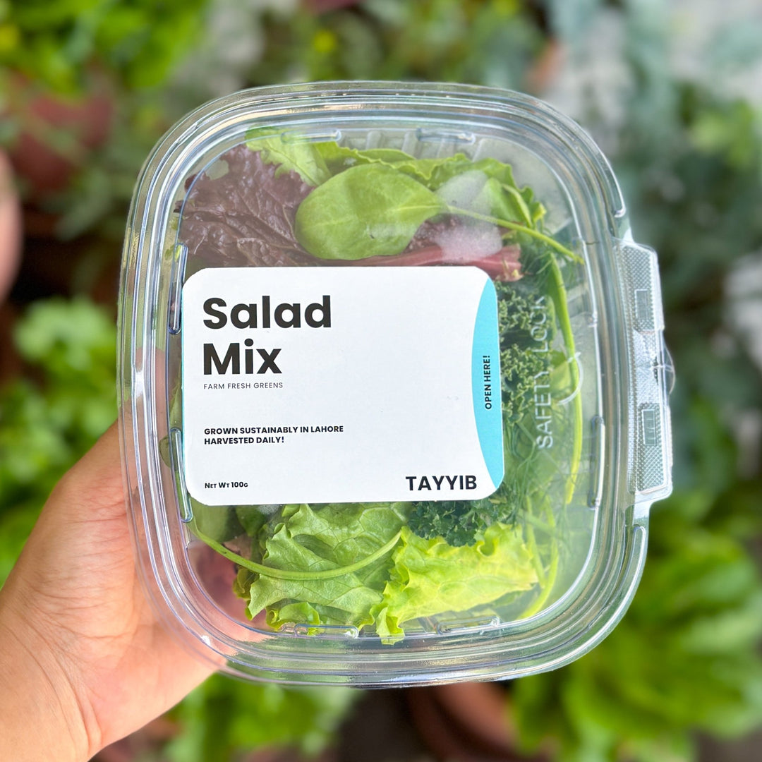 Tayyib Store: Healthier alternatives for food, skincare and home